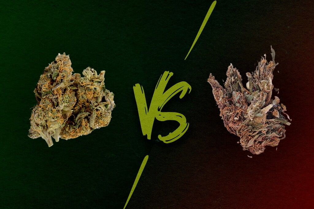Weed Grades Explained: Reggie vs Mids vs Loud - RQS Blog