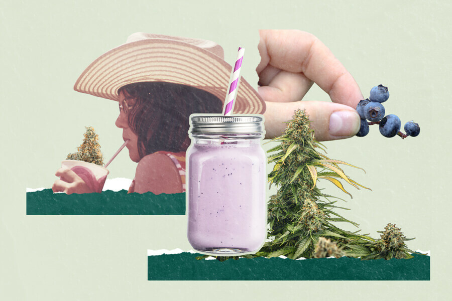 How To Make Delicious Cannabis Smoothies - Royal Queen Seeds - RQS Blog
