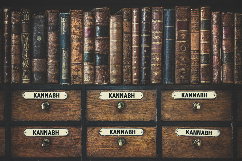 The History of Cannabis - RQS Blog