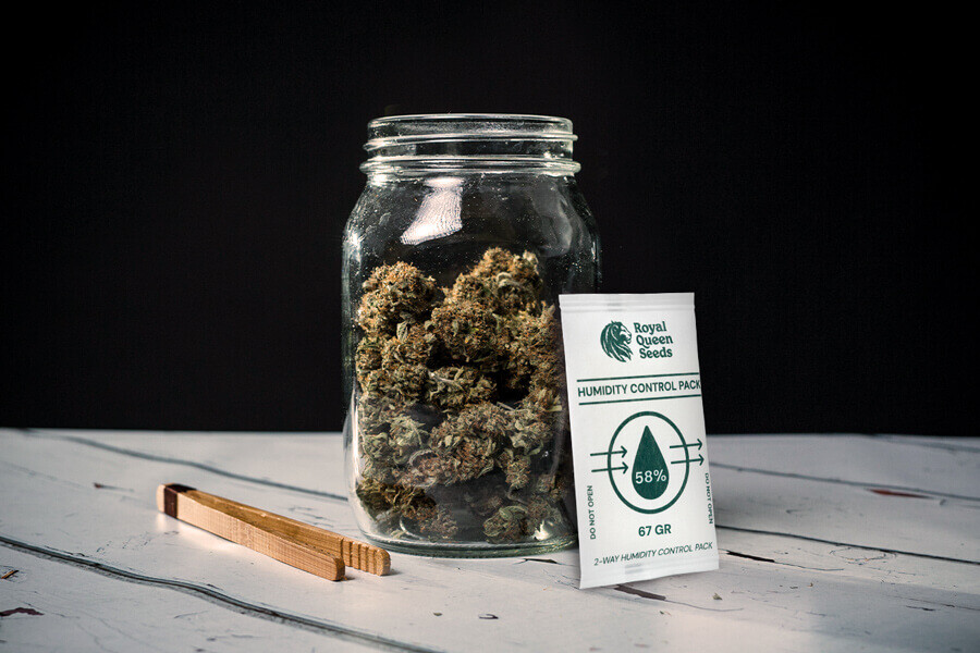 How to Avoid Moldy Weed During Drying and Curing - RQS Blog