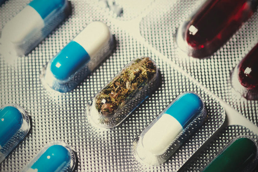 Cannabis and Its Role in Chemotherapy - RQS Blog