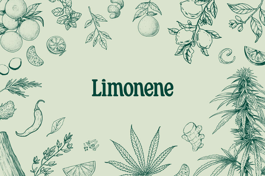 Limonene: All You Need To Know About This Terpene - RQS Blog