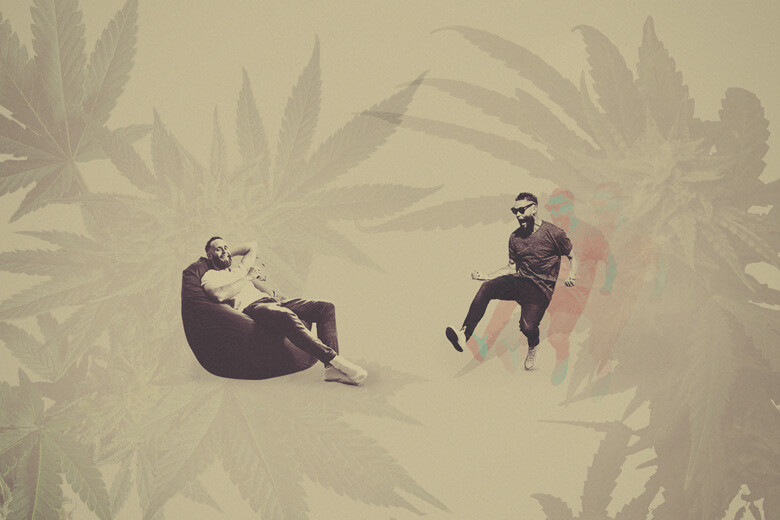 What are the difference between Indica and Sativa cannabis? - RQS Blog