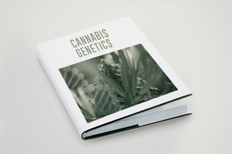 Understanding Cannabis Genetics Terminology - RQS Blog