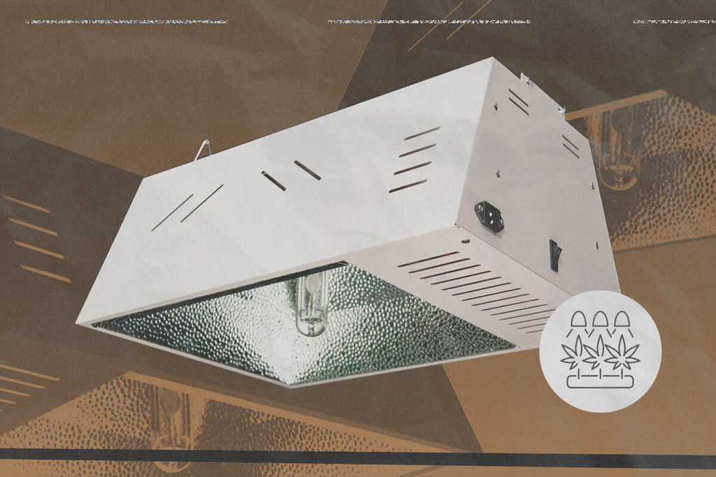 LEC Grow Lights - Are They Good For Growing Weed? - RQS Blog