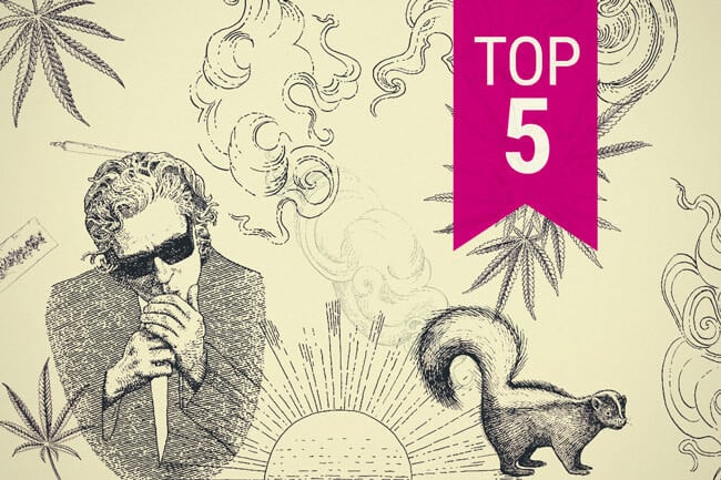 Top 5 Skunk Hybrids - RQS Blog