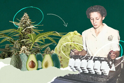 Cannabis Flowering Week By Week - The Guide By Royal Queen Seeds - RQS Blog