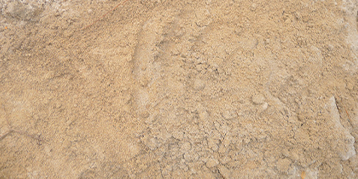 Choosing The Best Soil For Cannabis: A Home Grower's Guide - RQS Blog