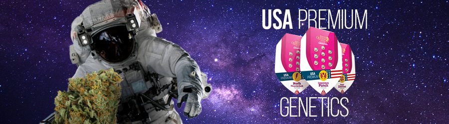 USA Premium Marijuana Seeds - Royal Queen Seeds USA