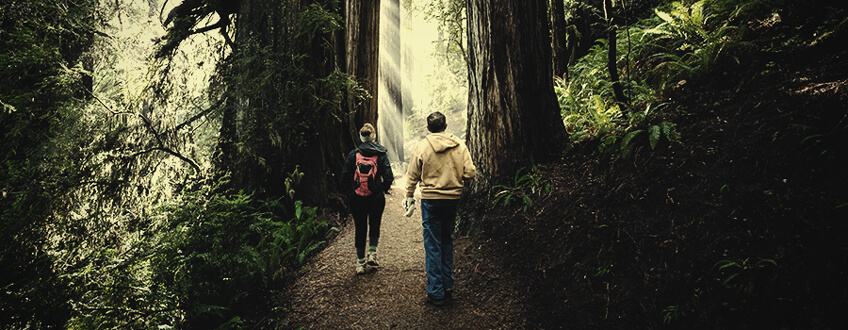 Tips For A Safe And Fun Cannabis Experience While Hiking - RQS Blog