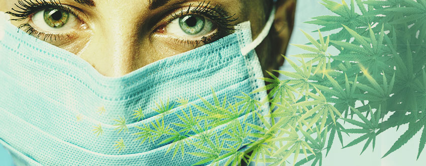 Marijuana Allergy: Identify, Treat, And Prevent Symptoms - RQS Blog
