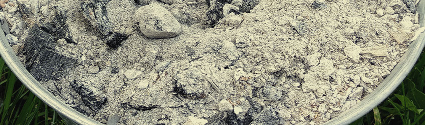 Organic Cannabis Nutrients And Plant Cures - RQS Blog