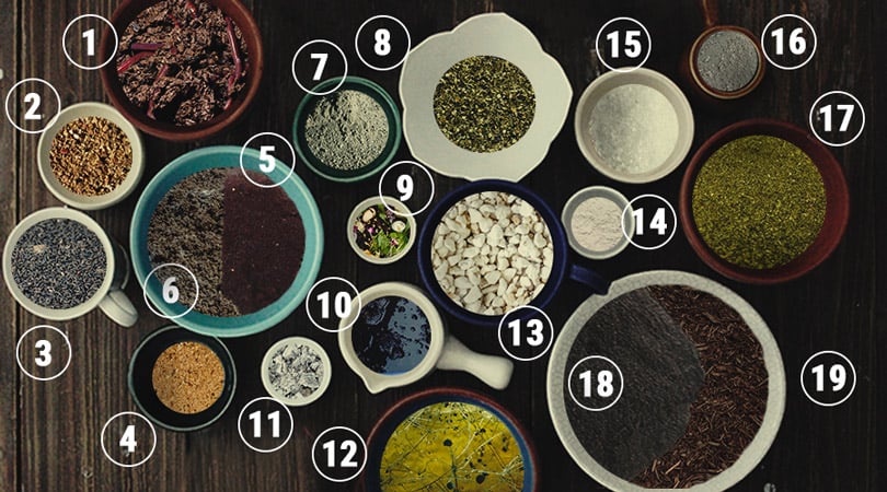 Organic Super Soil Amendments | Definitive Guide To All-Natural Plant ...