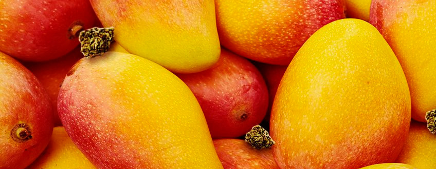 How mangoes can increase a cannabis high - RQS Blog