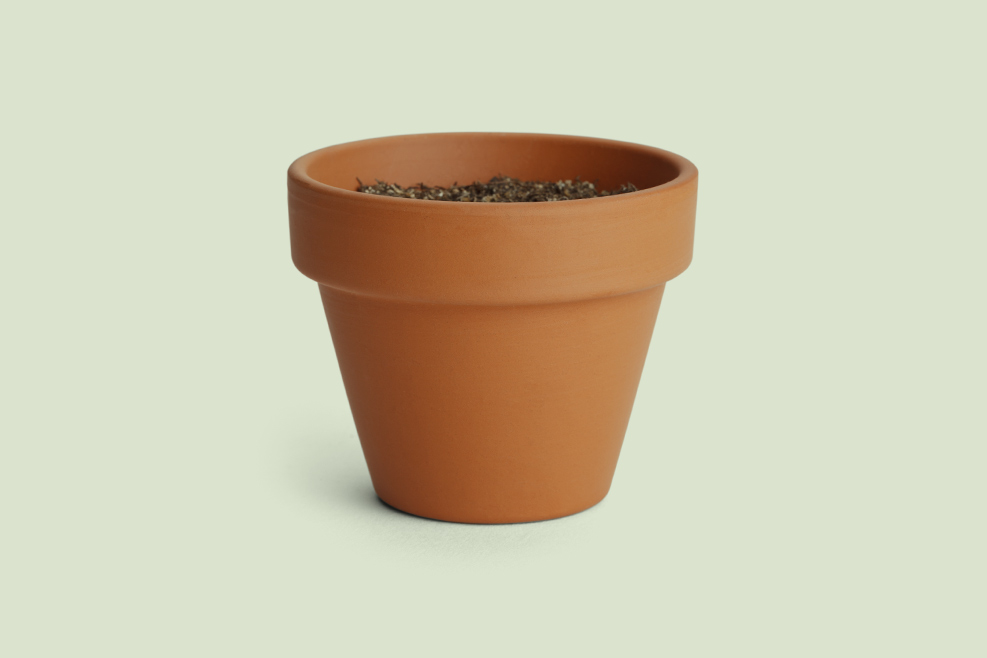 Types Of Containers For Growing Weed - RQS Blog