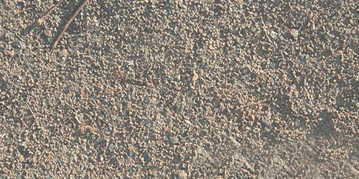 Choosing The Best Soil For Cannabis: A Home Grower's Guide - RQS Blog