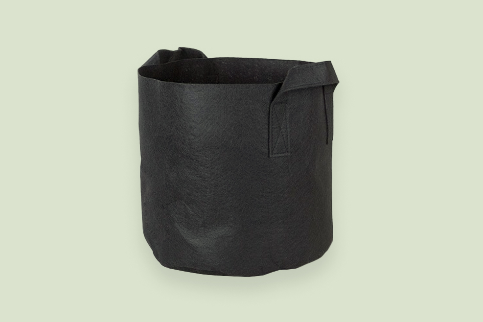 Types Of Containers For Growing Weed - RQS Blog