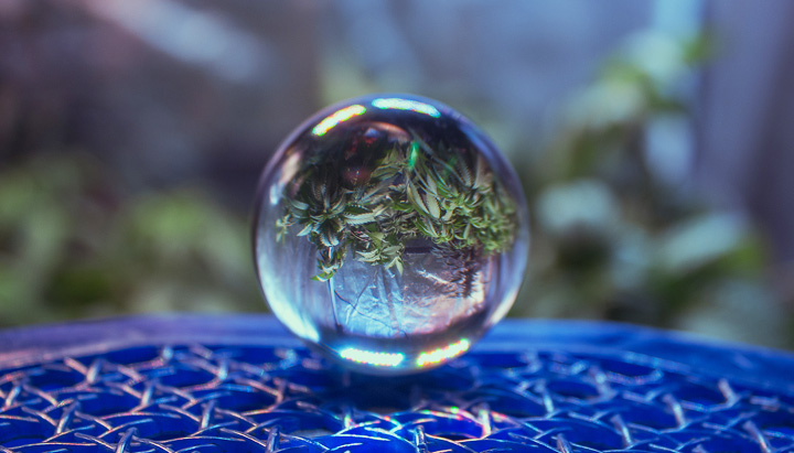 Cannabis Photography: How to Get Started - RQS Blog